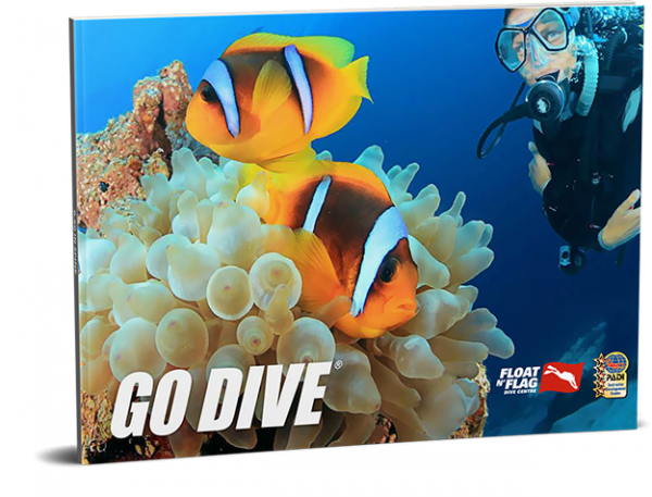 Learn to Scuba Dive Now! with Float N' Flag Dive Centre