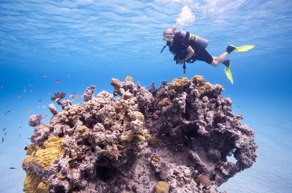 DAN - Float N' Flag Dive Centre