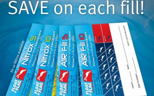 Latest News - Float N' Flag Dive Centre
